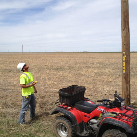 Utility Pole Inspection | Global Utility Services