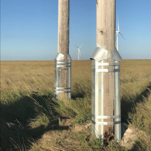 Utility Pole Restoration | Global Utility Services